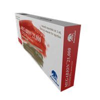 Farmacias Batres: MEGABION 25000 CAJA X 1 AMPOLLA: MEDICAMENTOS DE MARCA